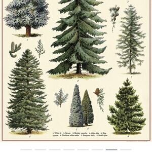 Heirloom Art Co | Art | Heirloom Art Co Diy Vintage Poster Kit 2 X 28 ...